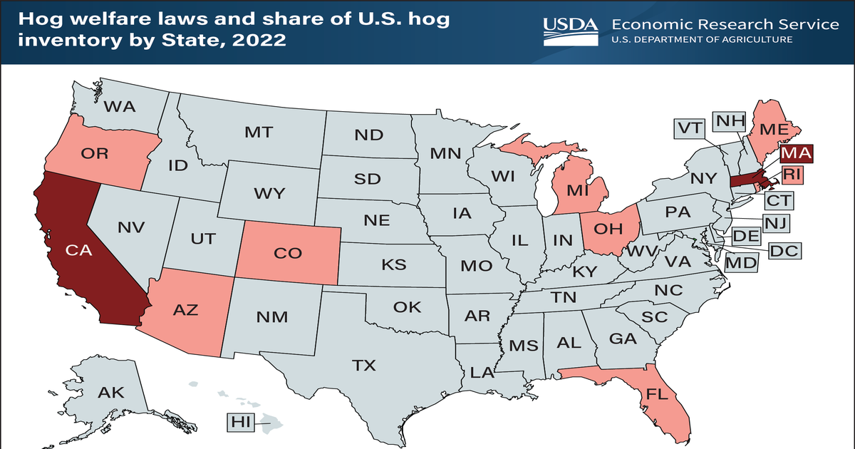 USDA ERS: Hog welfare laws cover 9 states, 3% of national herd
