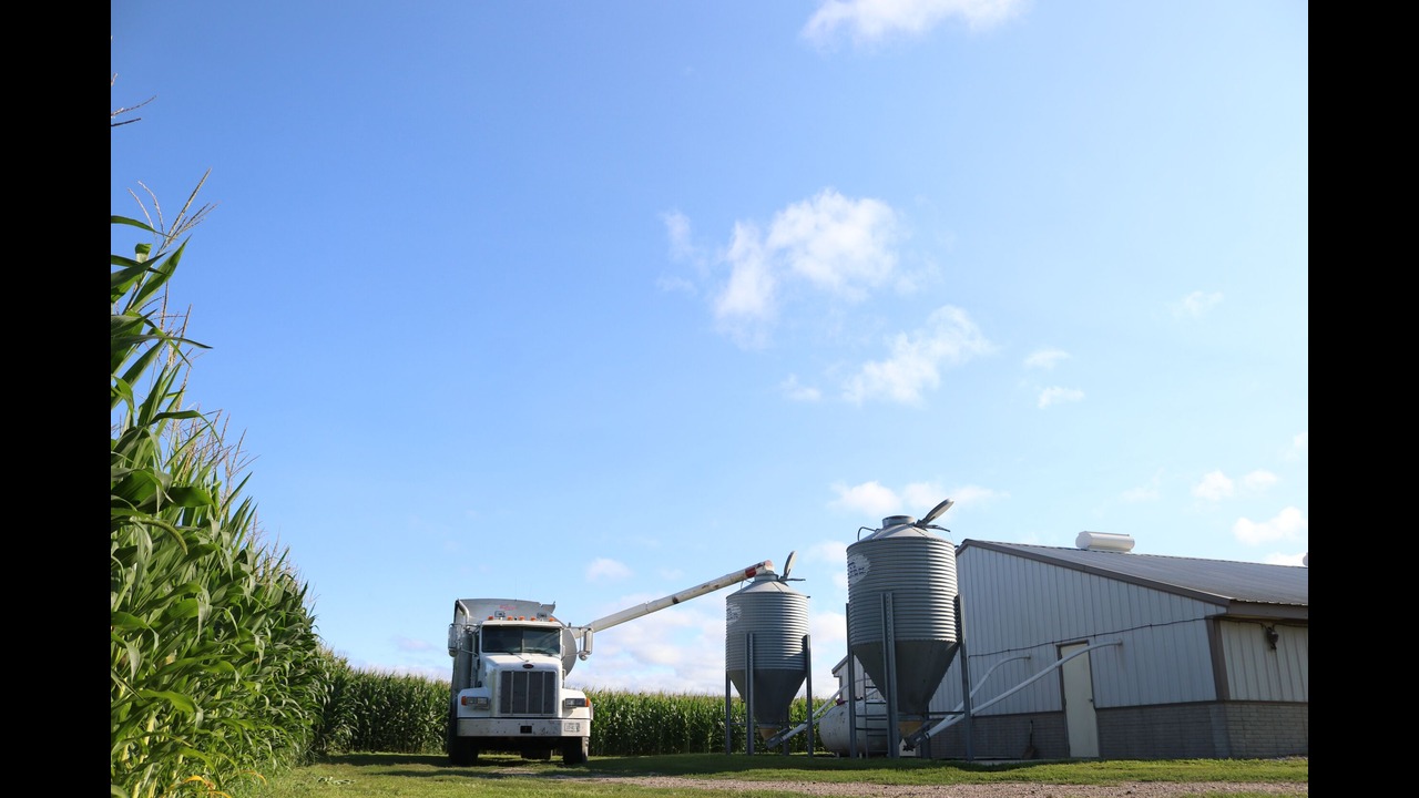 Cost of production keeps falling