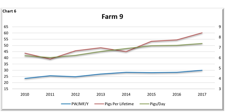 Disease impacts sow lifetime performance