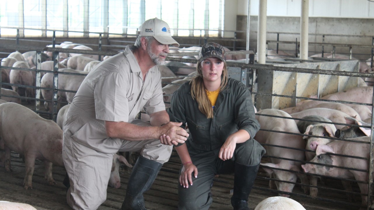 Maple Leaf Foods reports 8% revenue growth in Q3