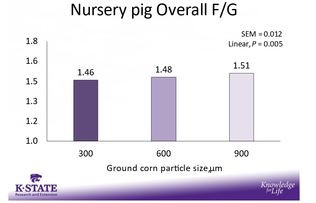 Impact of ground corn particle size on nursery, finishing pigs
