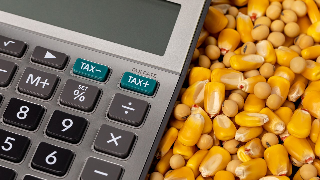 Stronger-than-usual winter prices