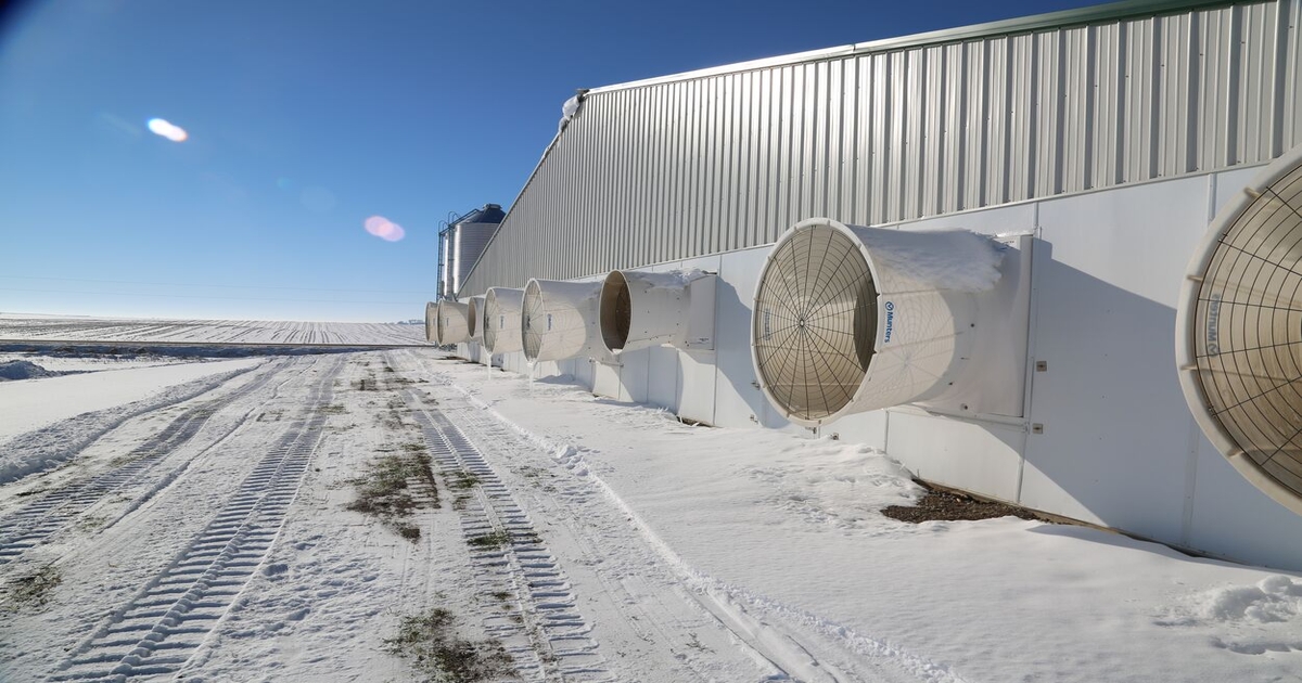 Variable speed fan motor curves: Background and impact