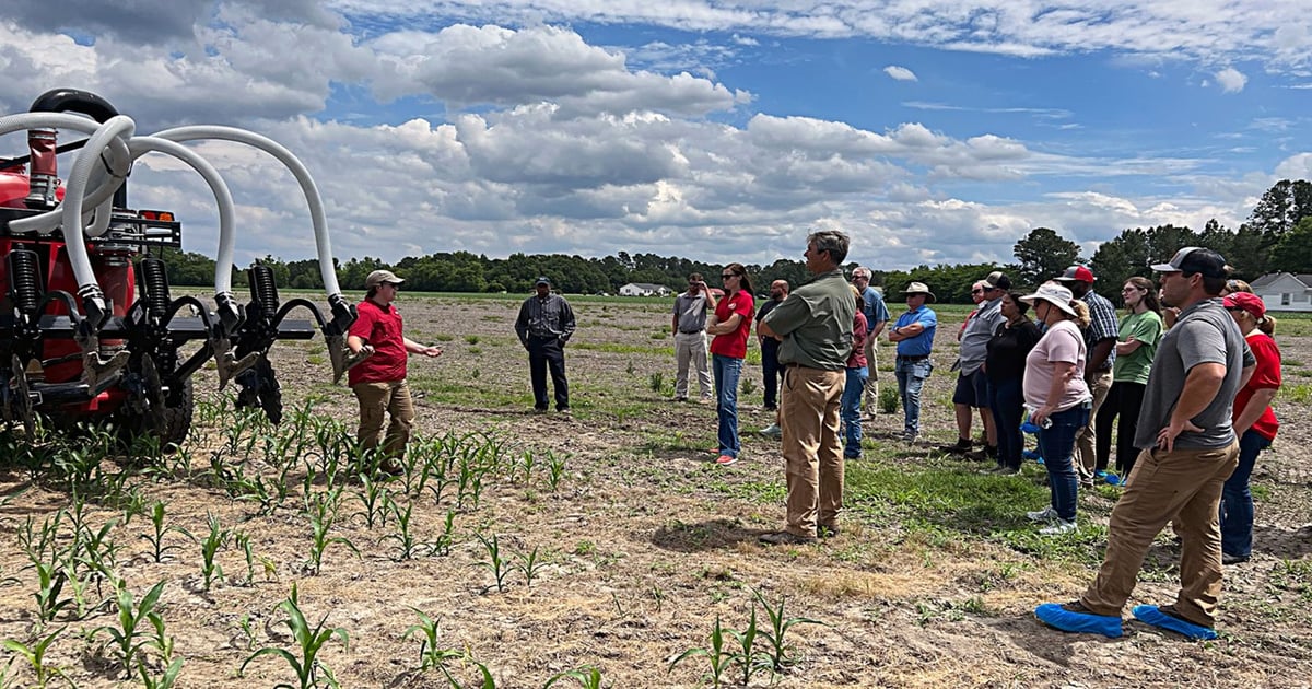 NC State tackles manure management with digital solution