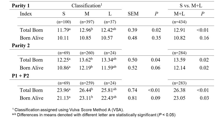 Vulva size assessment on gilts and relationship to future productivity