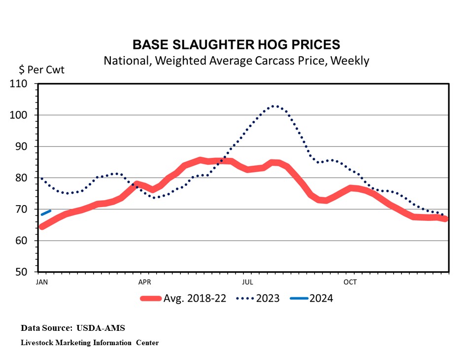 More hogs than expected