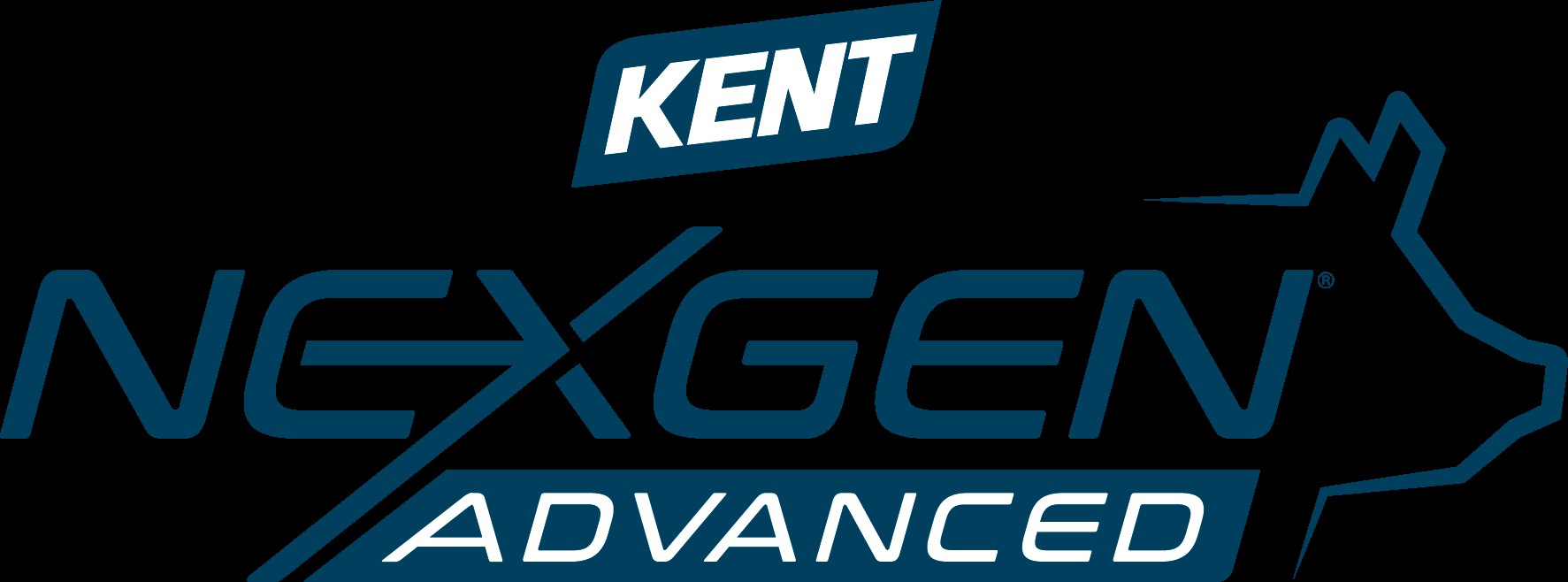 KENT launches Nexgen Advanced swine products