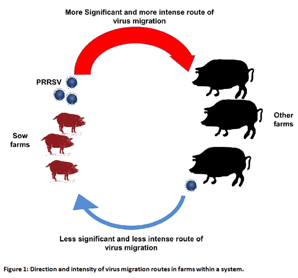 PRRS virus changes like a flowing river