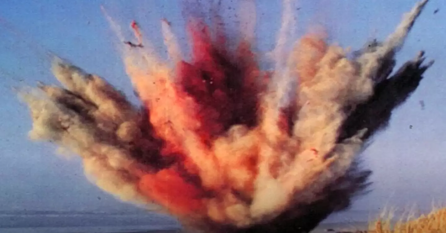 Sperm Whale Explodes A Brief History Of Exploding Whales The