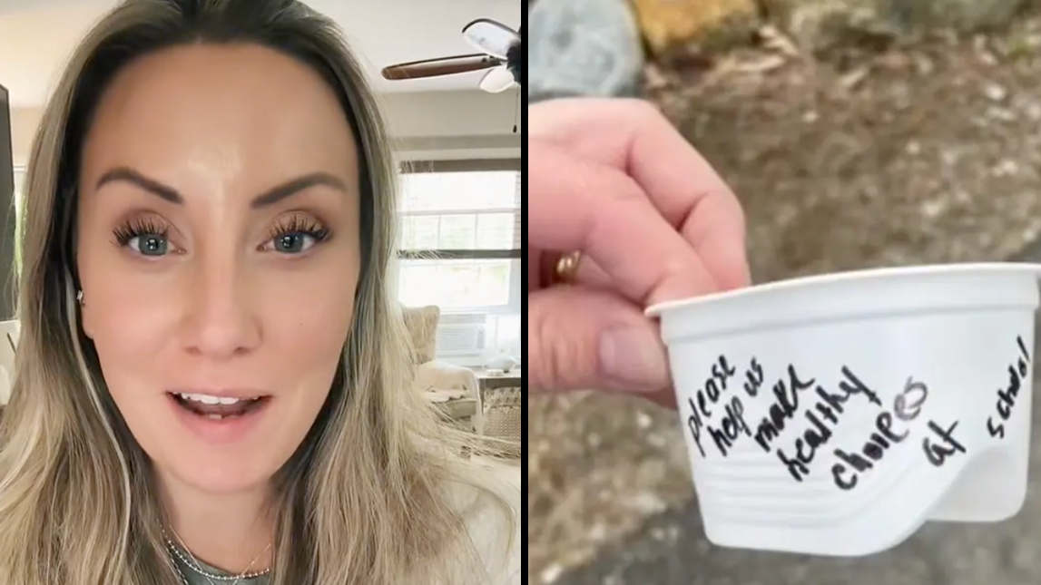 Donna Suter's Instagram, Twitter & Facebook on IDCrawl