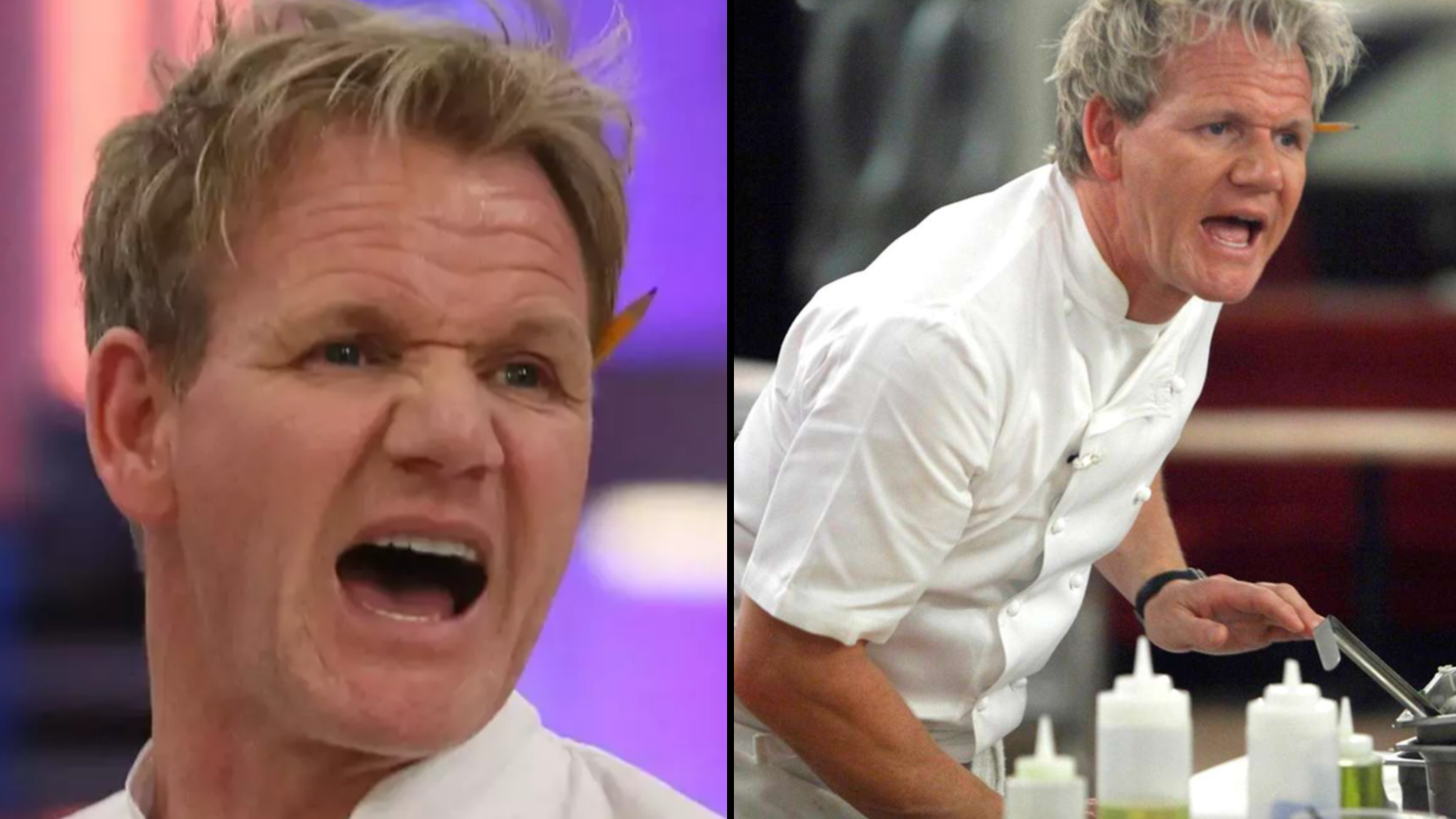Gordon Ramsay Yelling