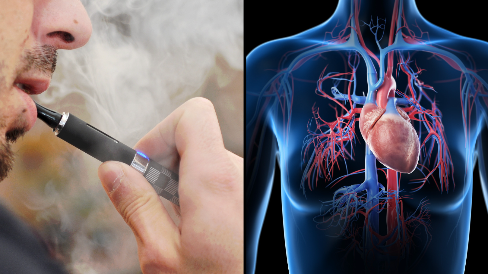 Organs Damaged From Smoking
