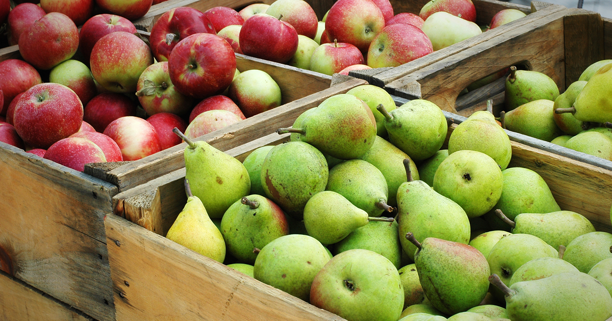 First Flavan-3-ols Heart Health Guidelines Released