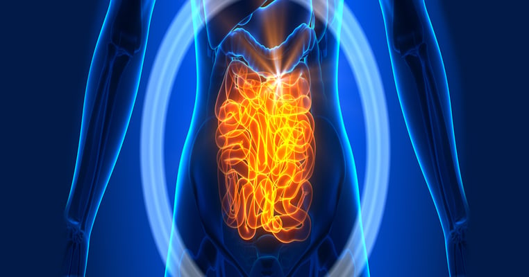 Gut feel: Unlocking the growing potential for digestive health