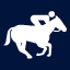 Horse Racing Betting & Betting Odds ⇒ William Hill™