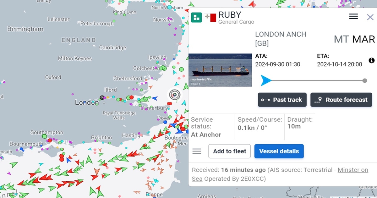 Options for Ruby owners running out