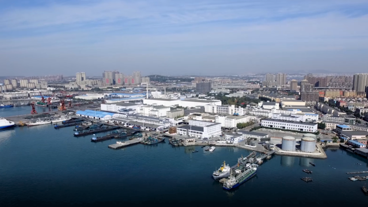 Lavinia in Chinese seafood reefer jv