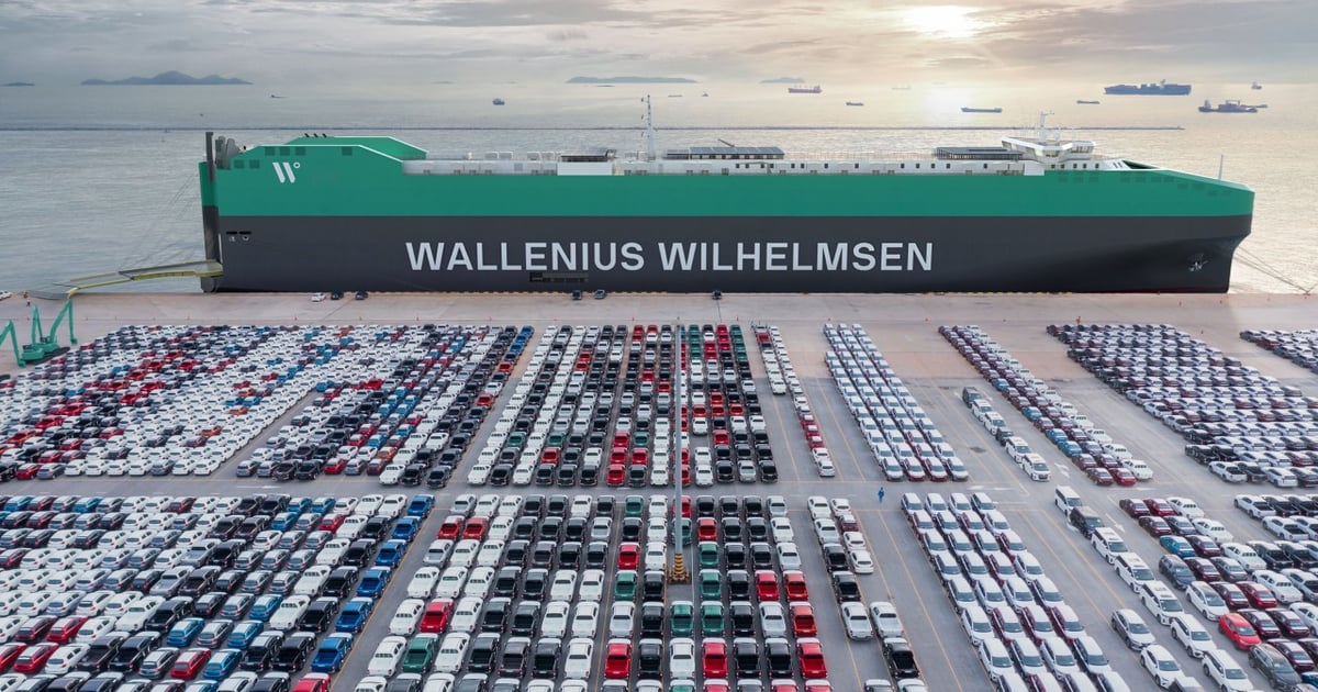 Wallenius Wilhelmsen takes full ownership of Armacup