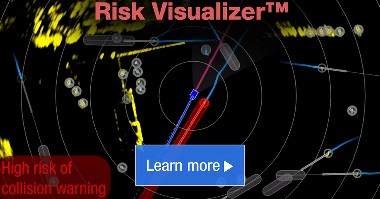 Collision Avoidance Support: Risk Visualizer™