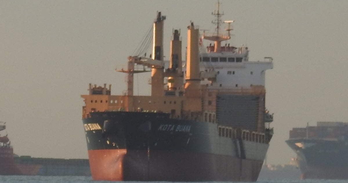 Costamare in dry bulk push with 16 vessel buy