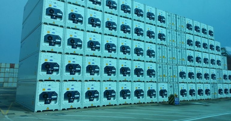 Reefer shipping trade to see annual growth of 3.7% to 2024