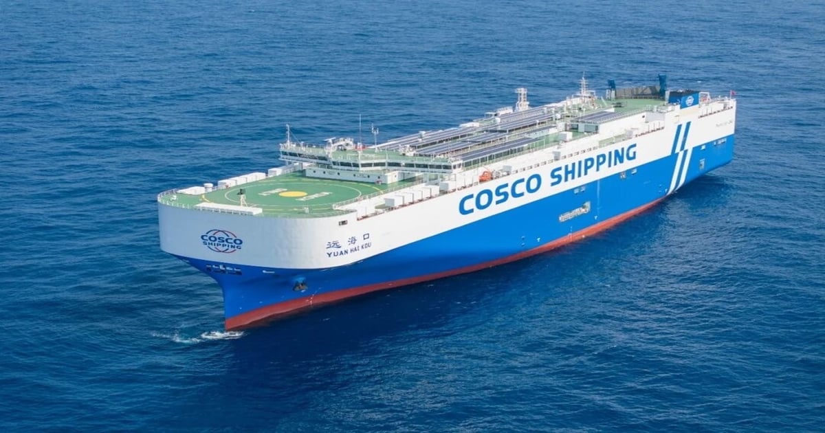 Cosco Shipping Specialized Carriers adds 42 vessels