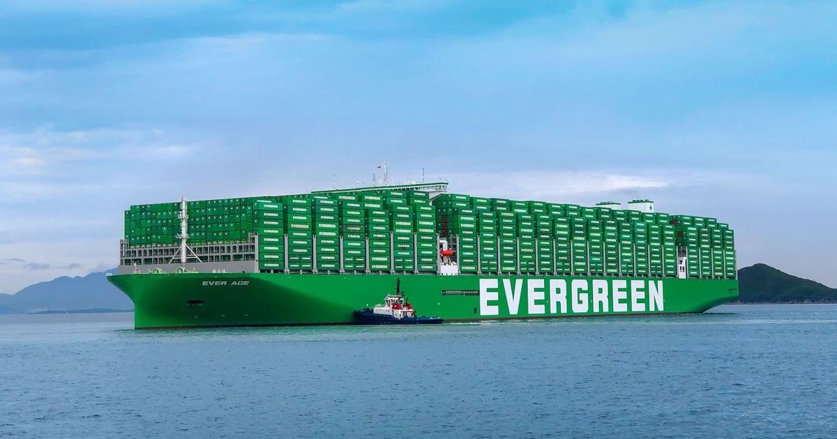 Investors bet on container lines profiting from disruption