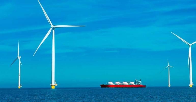 Forecasting the effects of world fleet decarbonization options