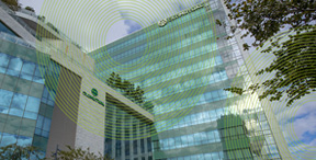 Old Mutual Limited | Corporate website