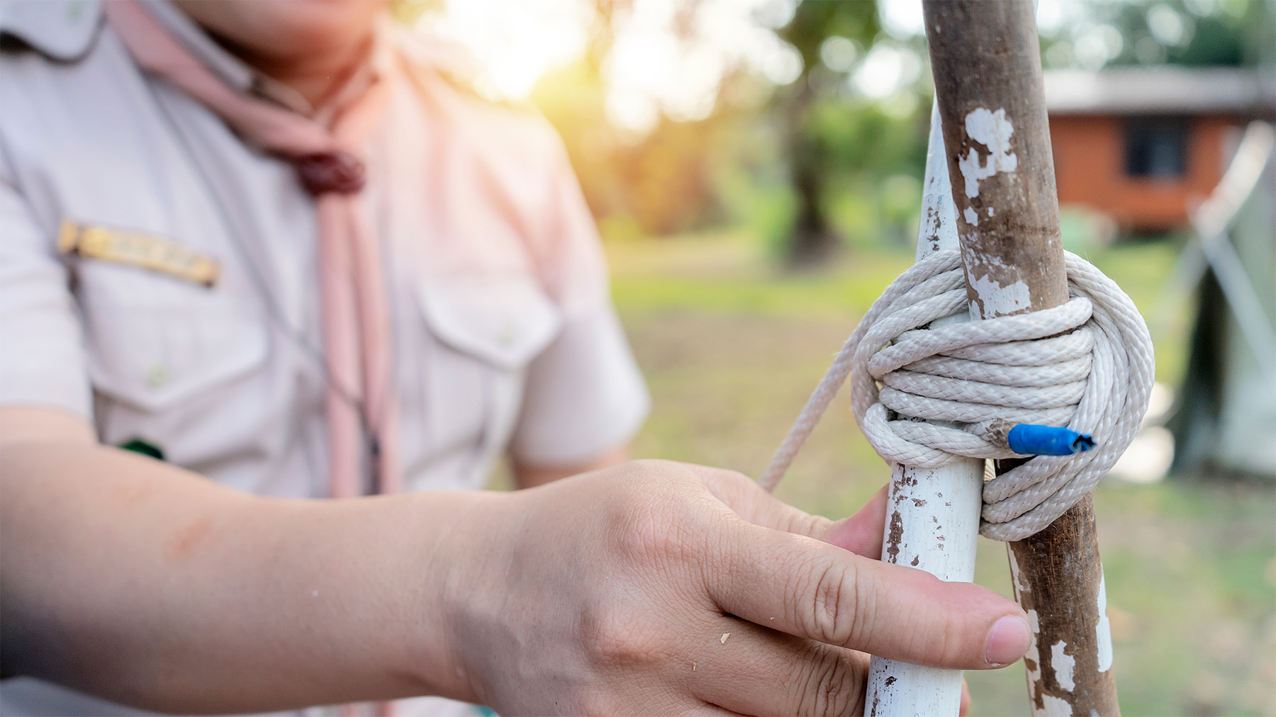 Peanut recent news | Farm Progress