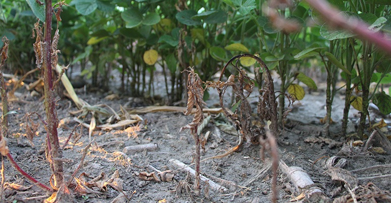 The power behind the Enlist™ weed control system provides confidence