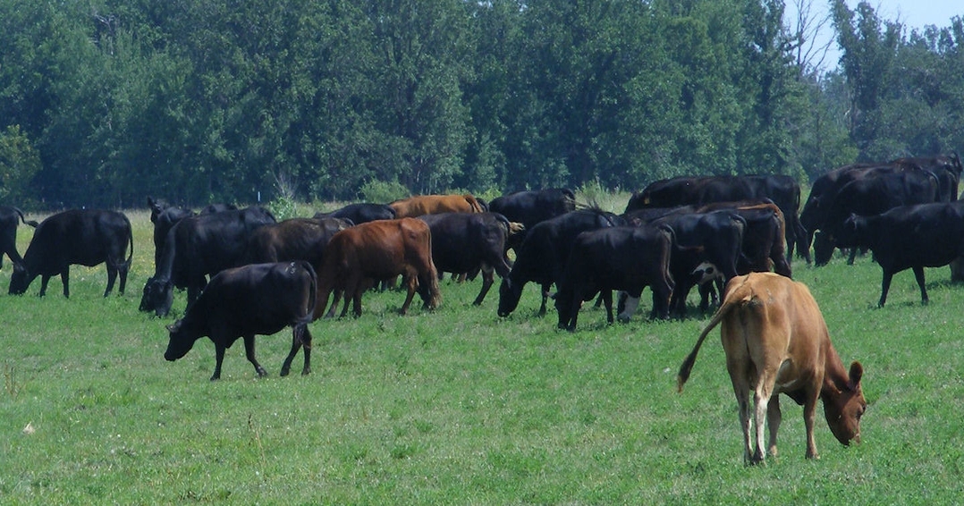 Learn more about VFD