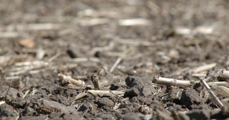 Leaving soil legacy on your farm | Farm Progress