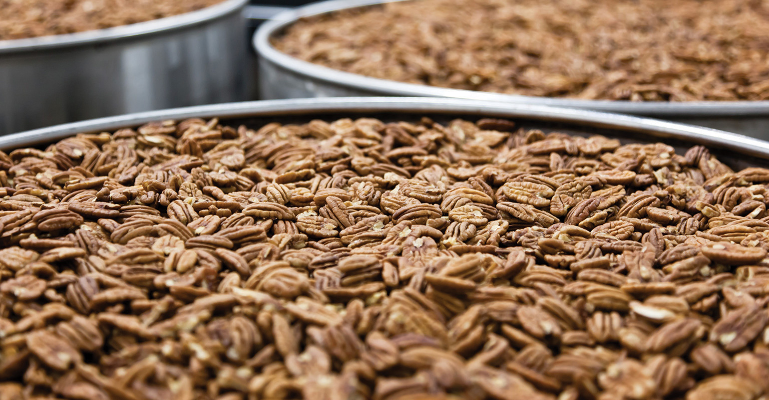 Green Valley Pecans closes processing plant