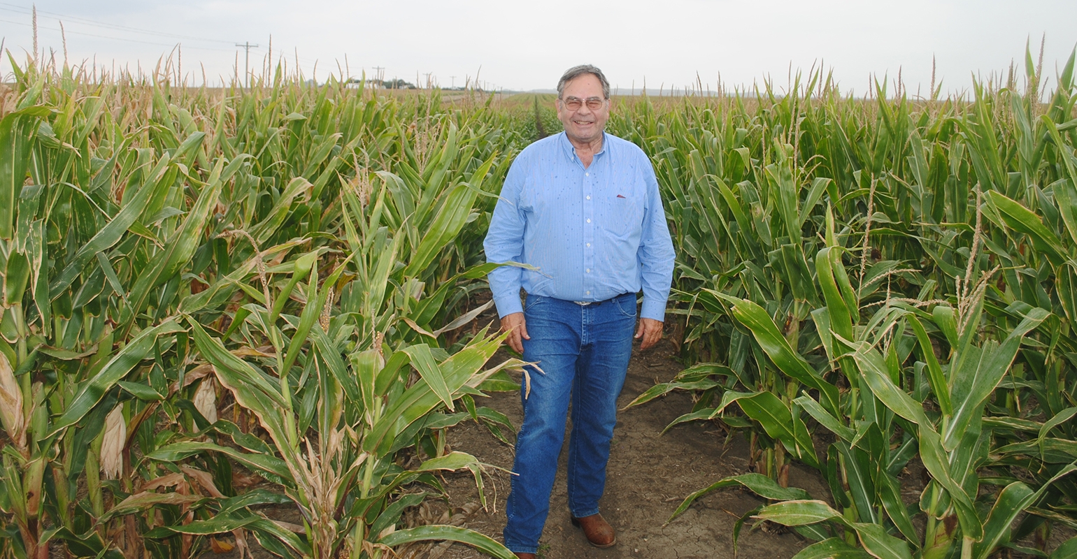 Skip-a-row drought strategy