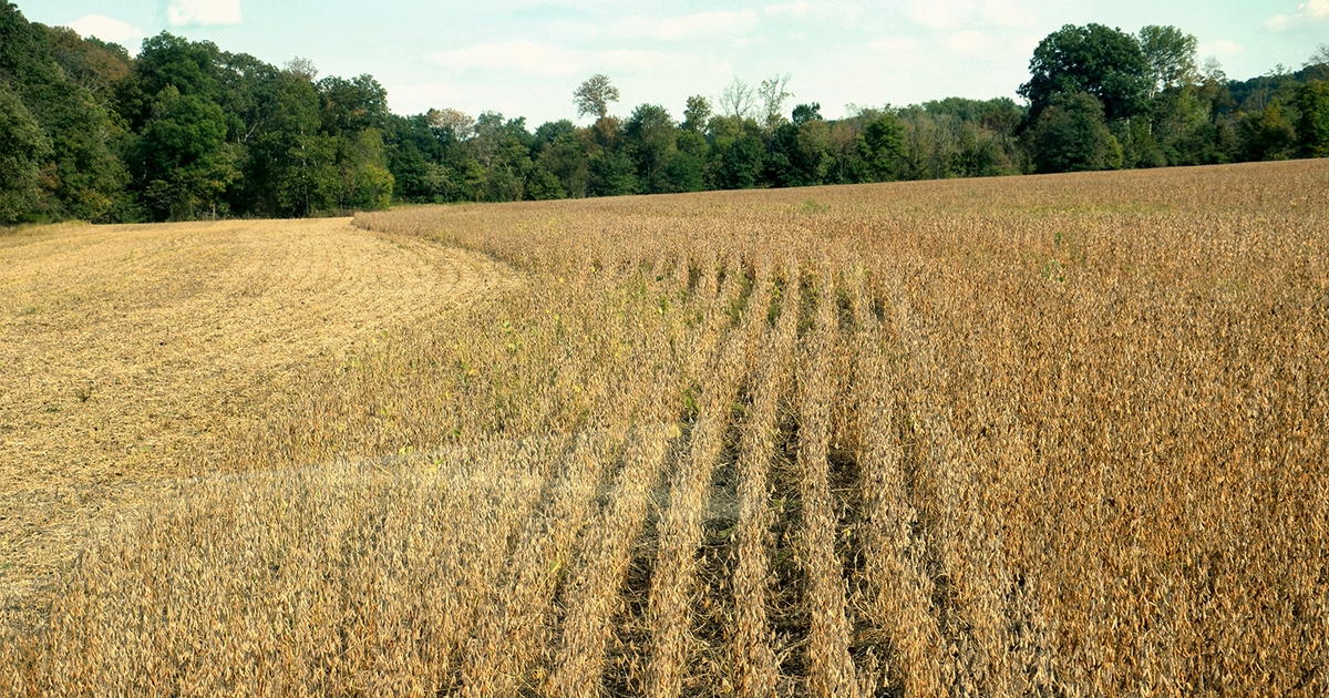 Soils specialist weighs in on farming multiple soil types