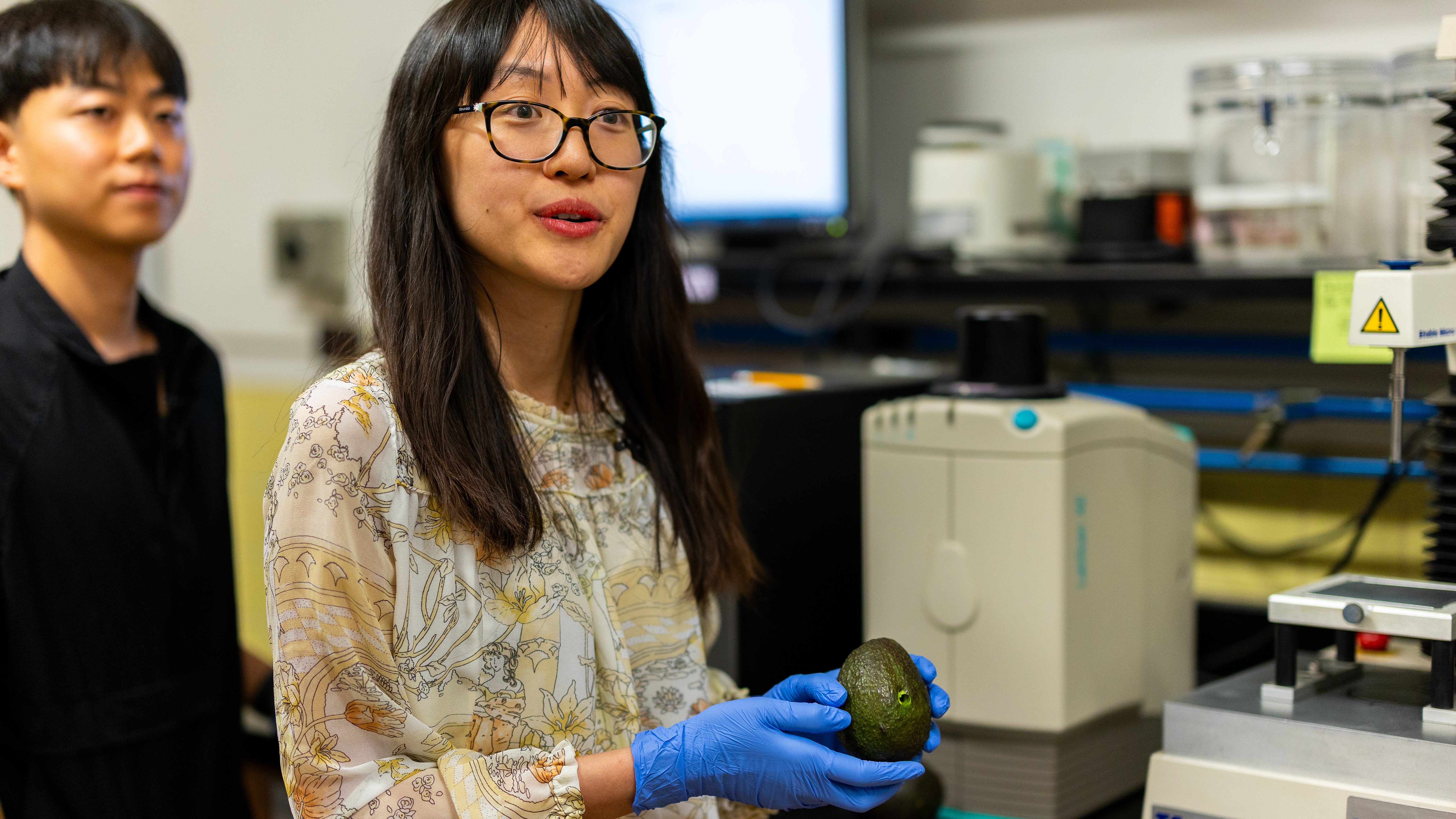 Smartphone-powered AI predicts avocado ripeness