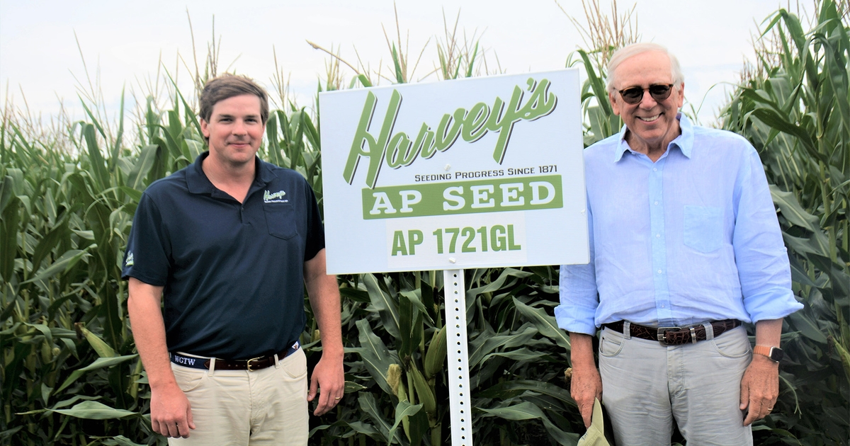 Diversity key to Harvey’s 150 years of business successs