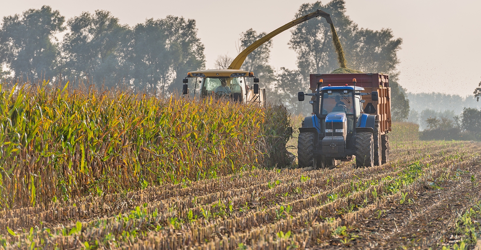 Soggy fields cause soil compaction during harvest