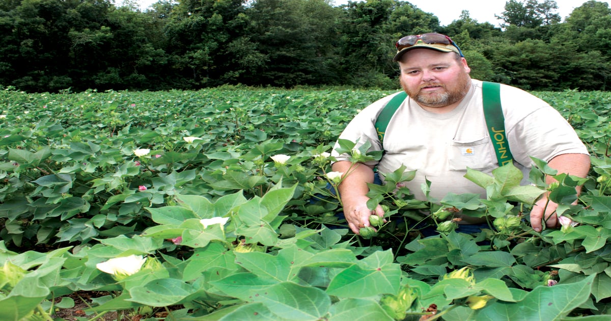 Randy Crowe: ‘Weevil eradication and no-till have been our salvation ...