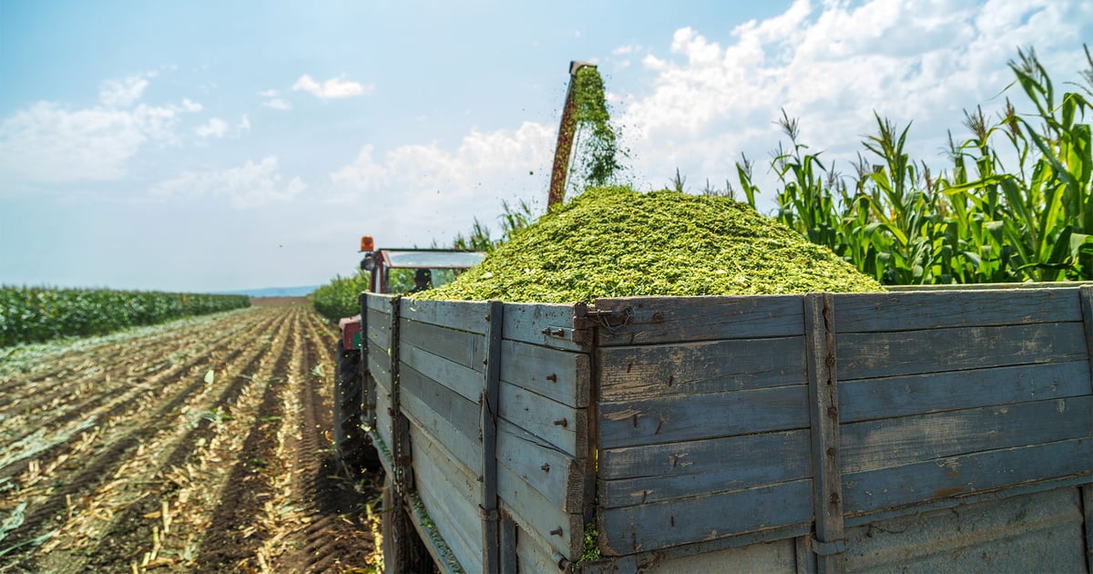 Calculate a reasonable price for corn silage