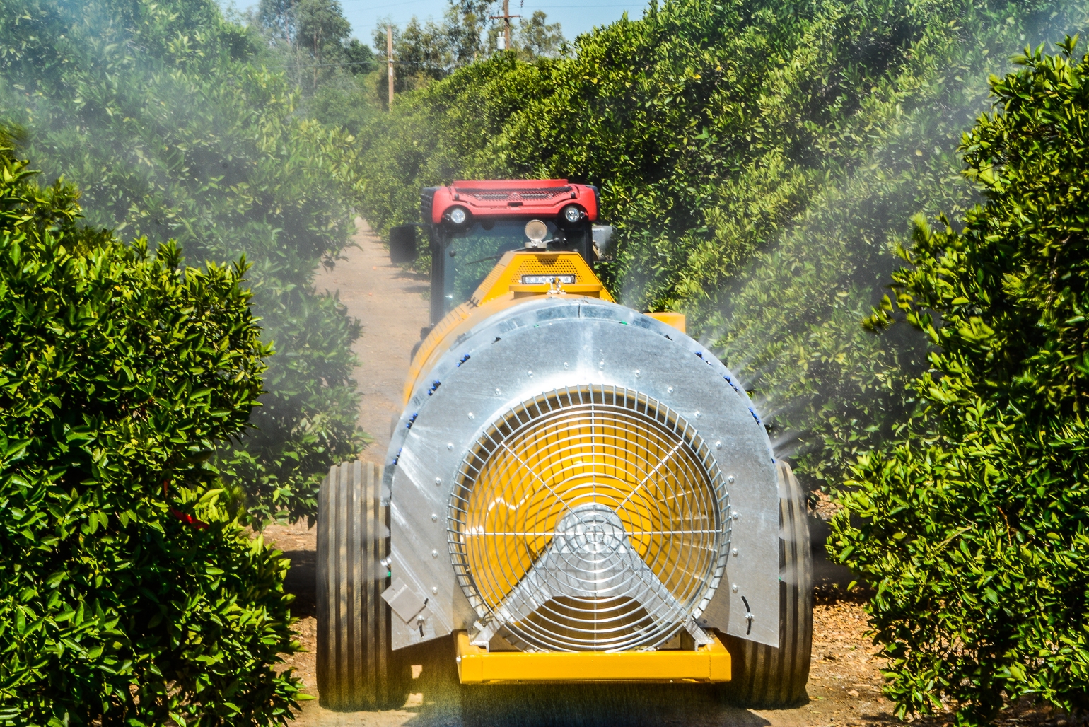 Timing and insecticide coverage is critical for bug control