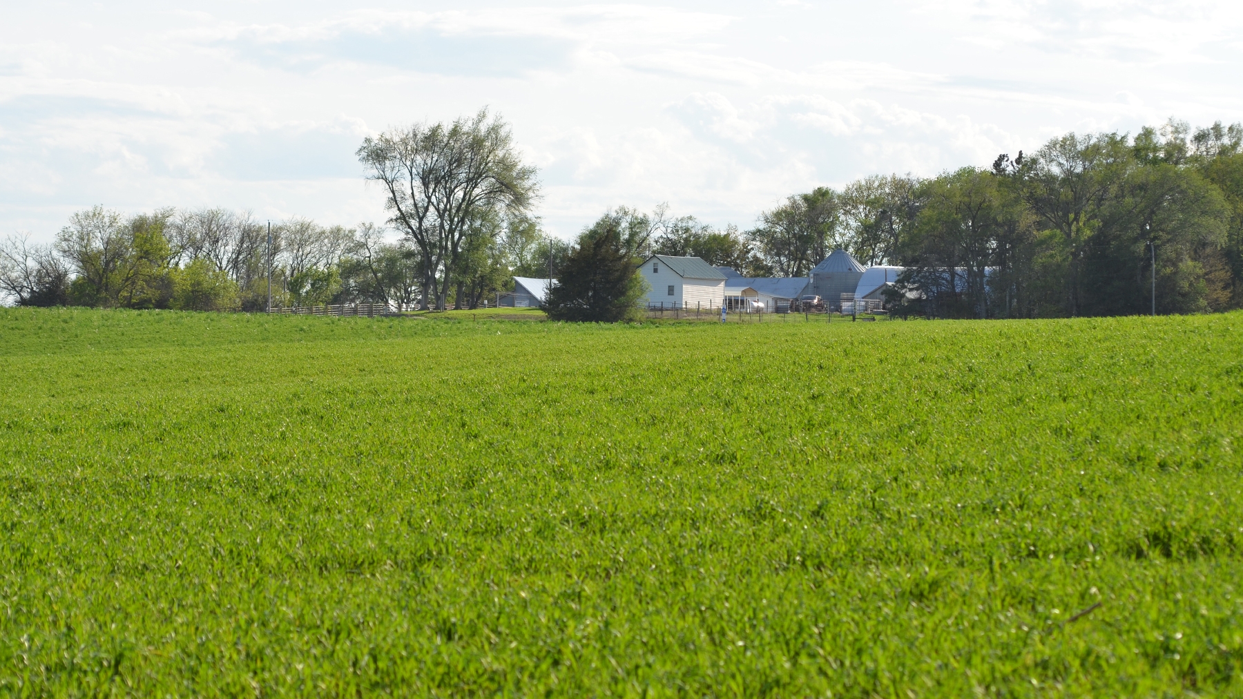 Number of Nebraska farms declines