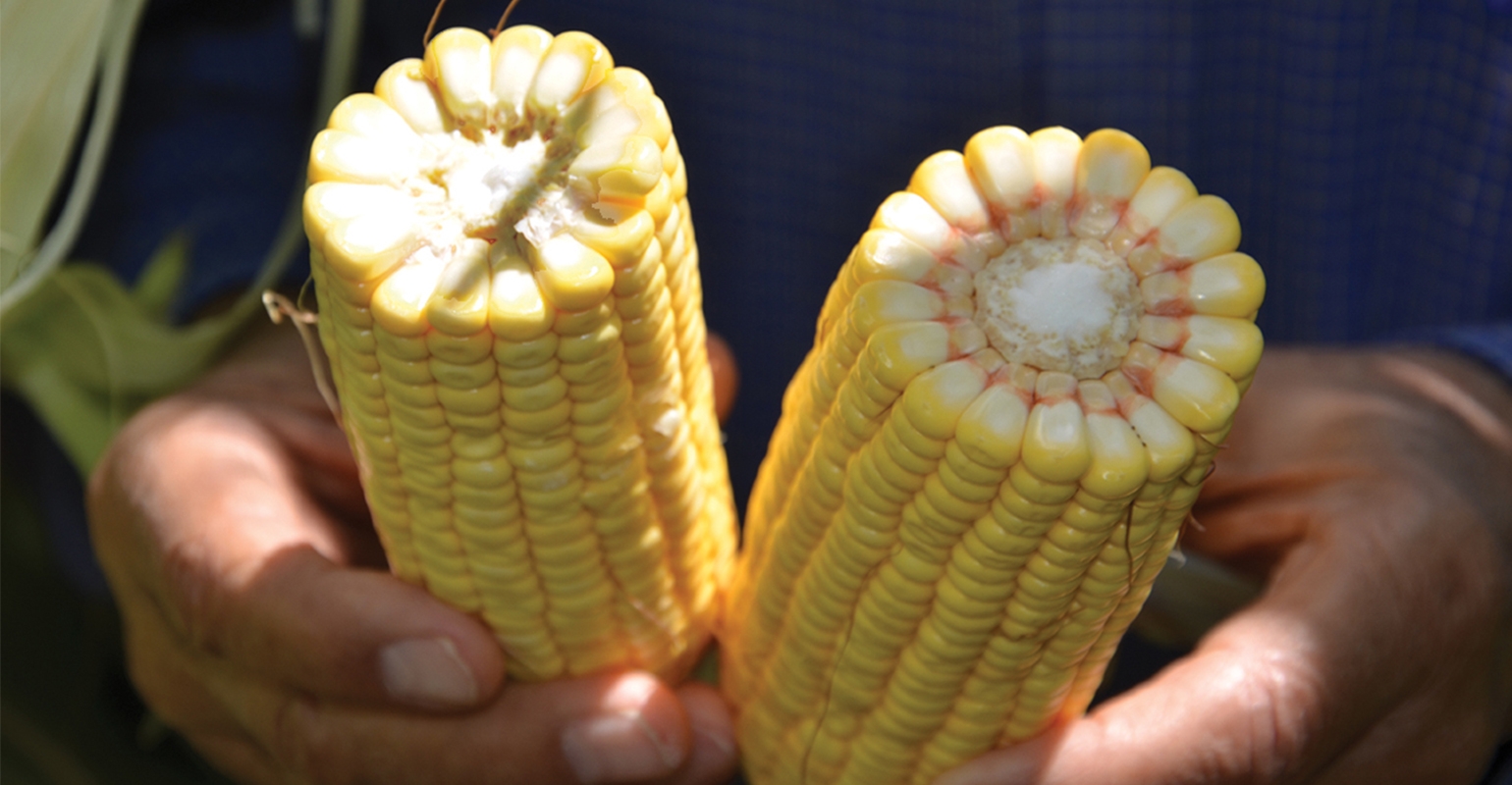 Why tractors, hybrid corn top my list of greatest accomplishments