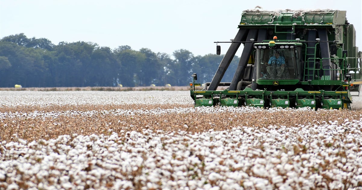 Delta snow | Farm Progress