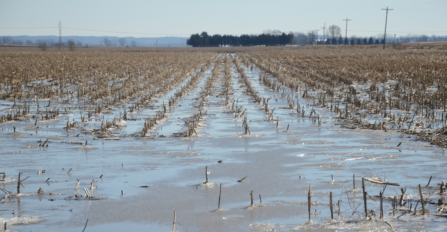 Reclaiming flooded soil: How to get started