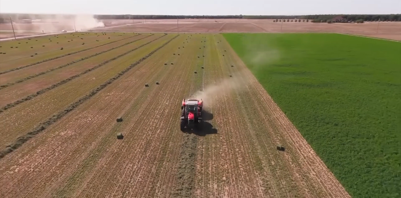 Commodities | Farm Progress