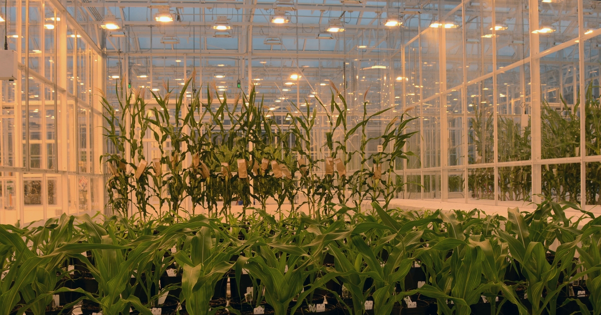 Syngenta executive sees five megatrends reshaping ag