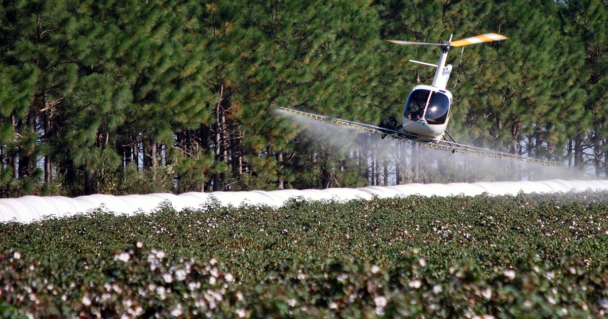 Pick best cotton defoliant combination, then 'Go get the crop!'