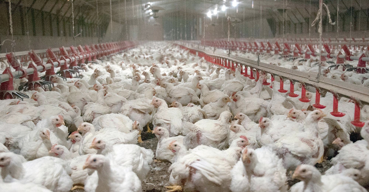 Mississippi’s 2017 agriculture a $7 billion industry